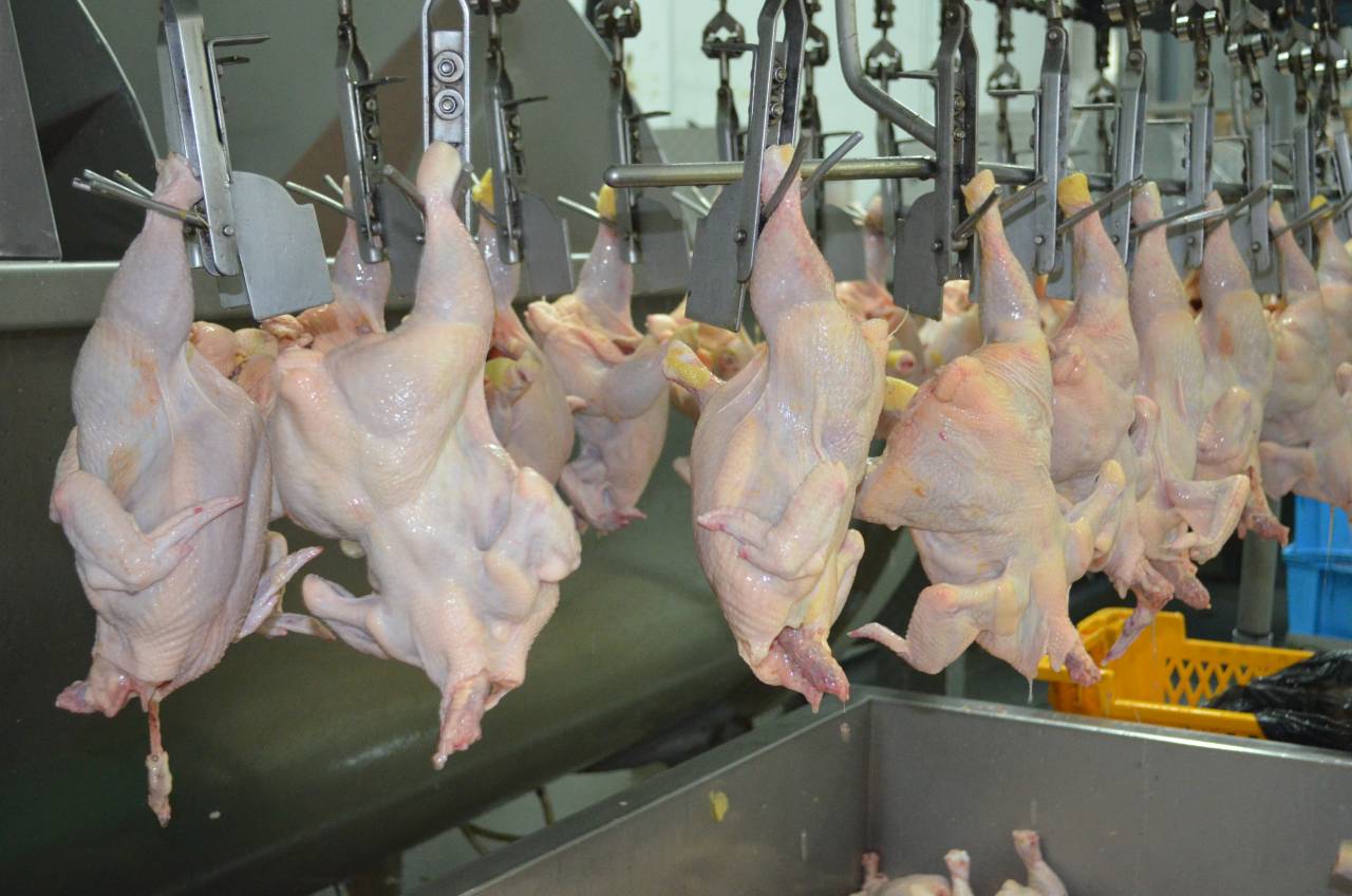 PPNJ Poultry & Meat Sdn. Bhd. – Pertubuhan Peladang Negeri Johor